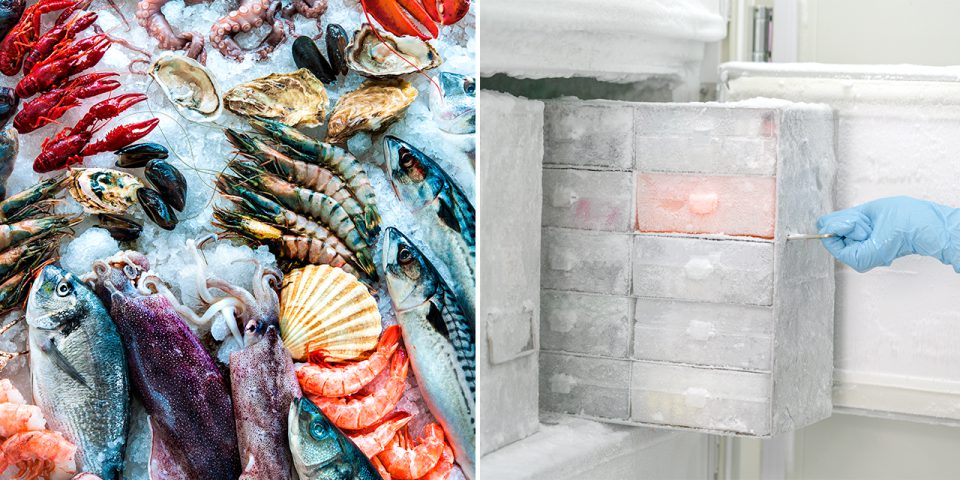 Ultra. Cold. Storage. Three words, many more use cases - Thermo King